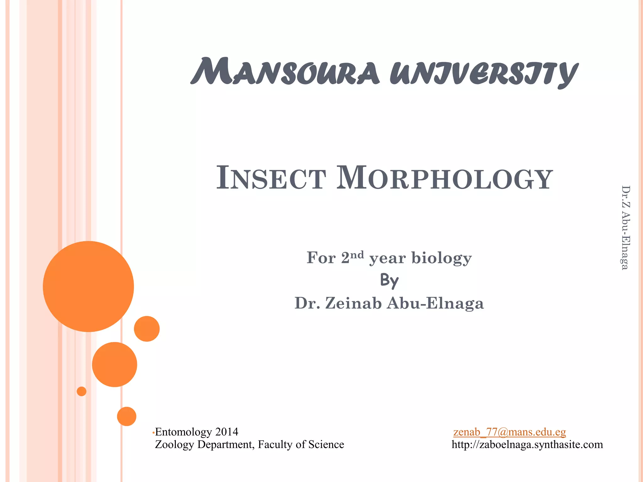 Insect morphology | PPTX