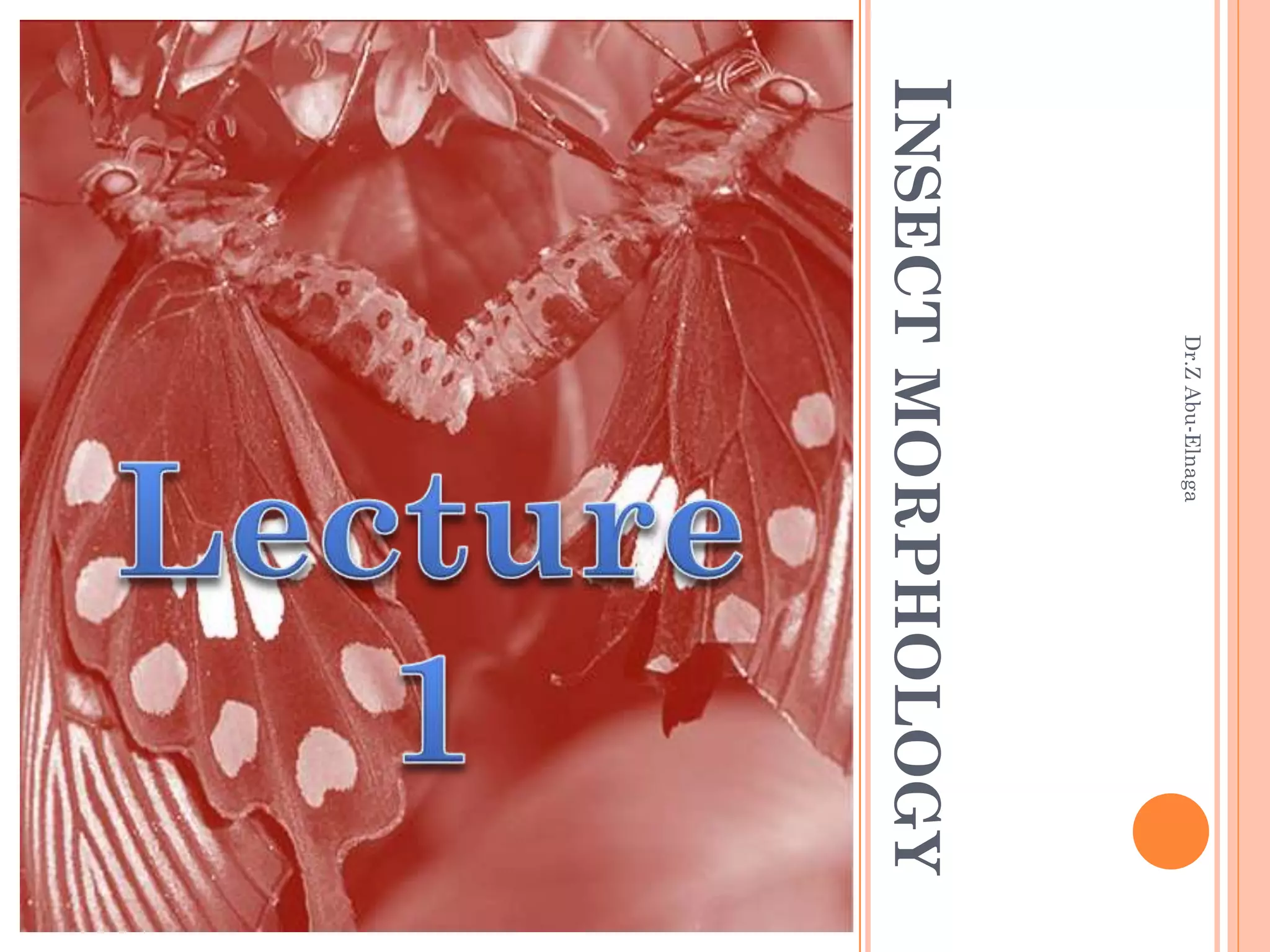Insect morphology | PPTX