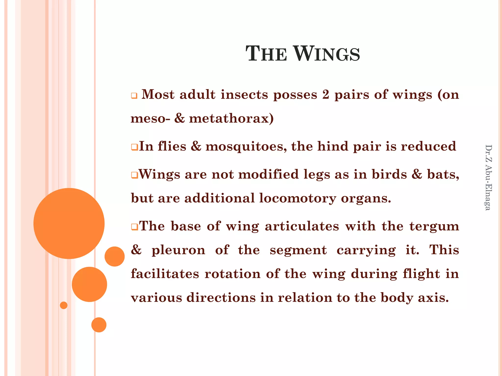 Insect morphology | PPTX