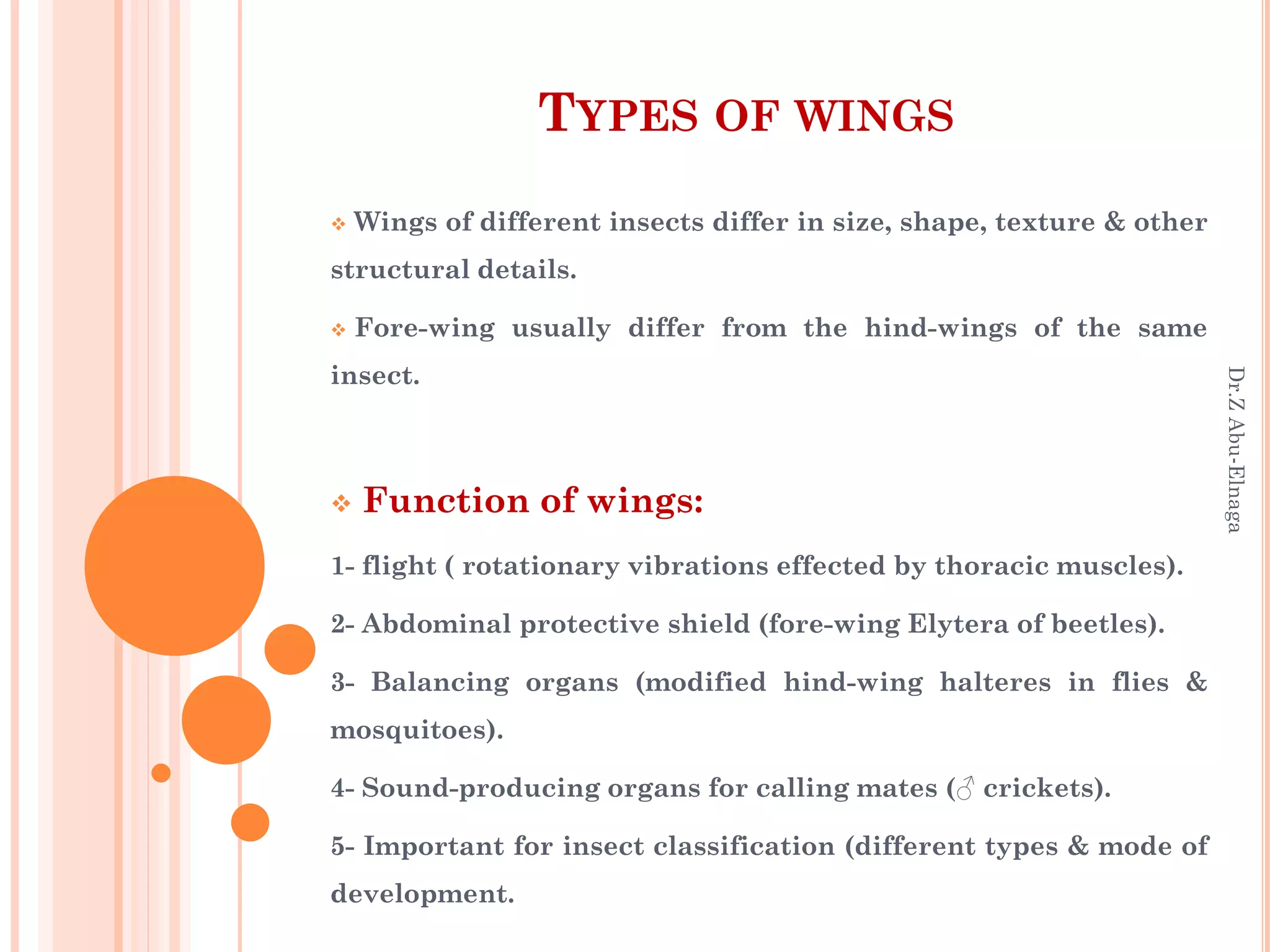 Insect morphology | PPTX