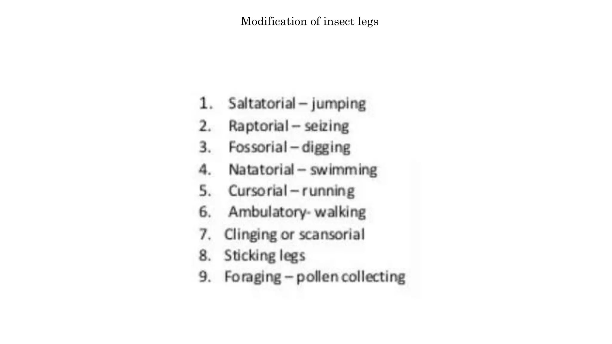Insect Morphology lecture power point presentation | PPT