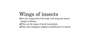 Insect Morphology lecture power point presentation | PPT