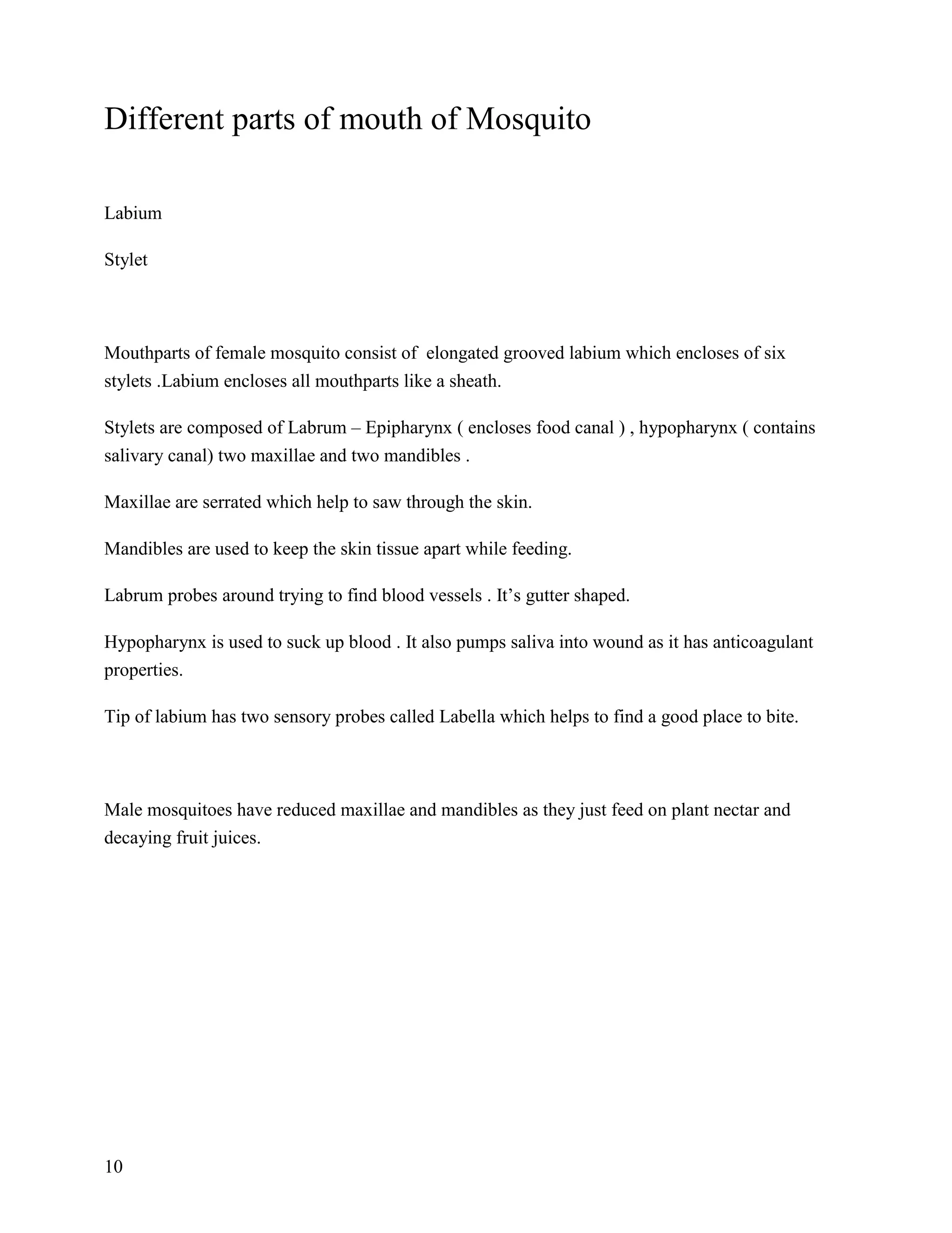 Insect mouthparts .docx