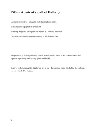 Insect mouthparts .docx