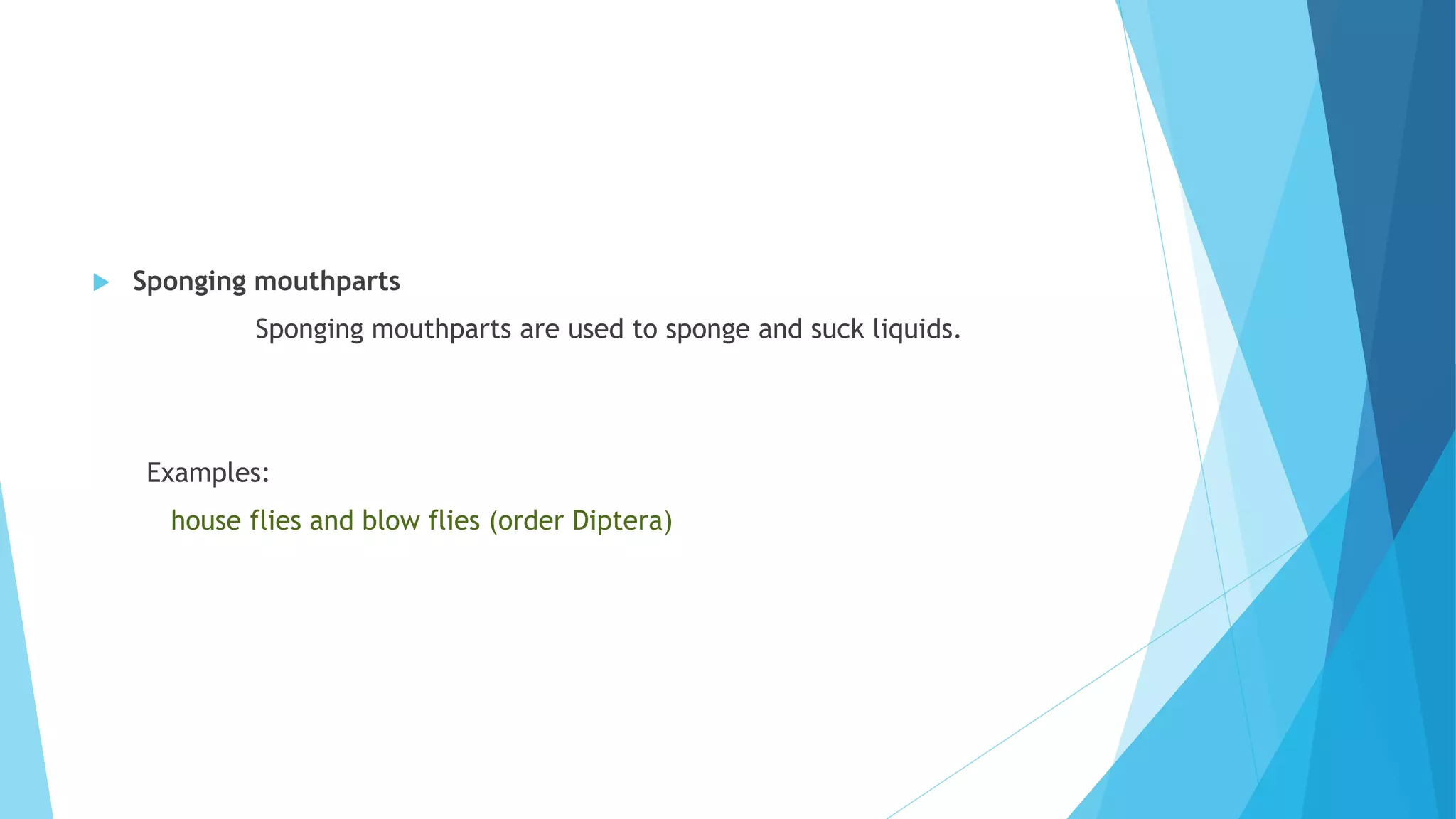 INSECT MOUTH PARTS AND THEIR MODIFICATION.pptx