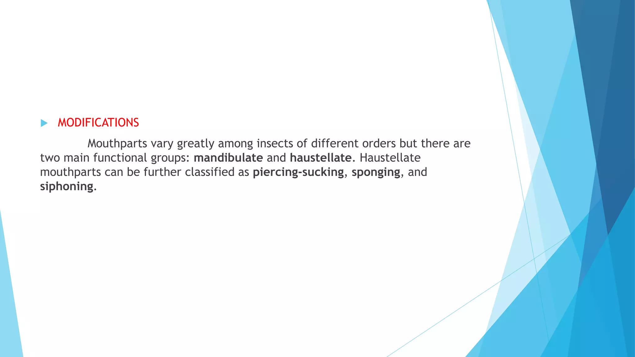 INSECT MOUTH PARTS AND THEIR MODIFICATION.pptx