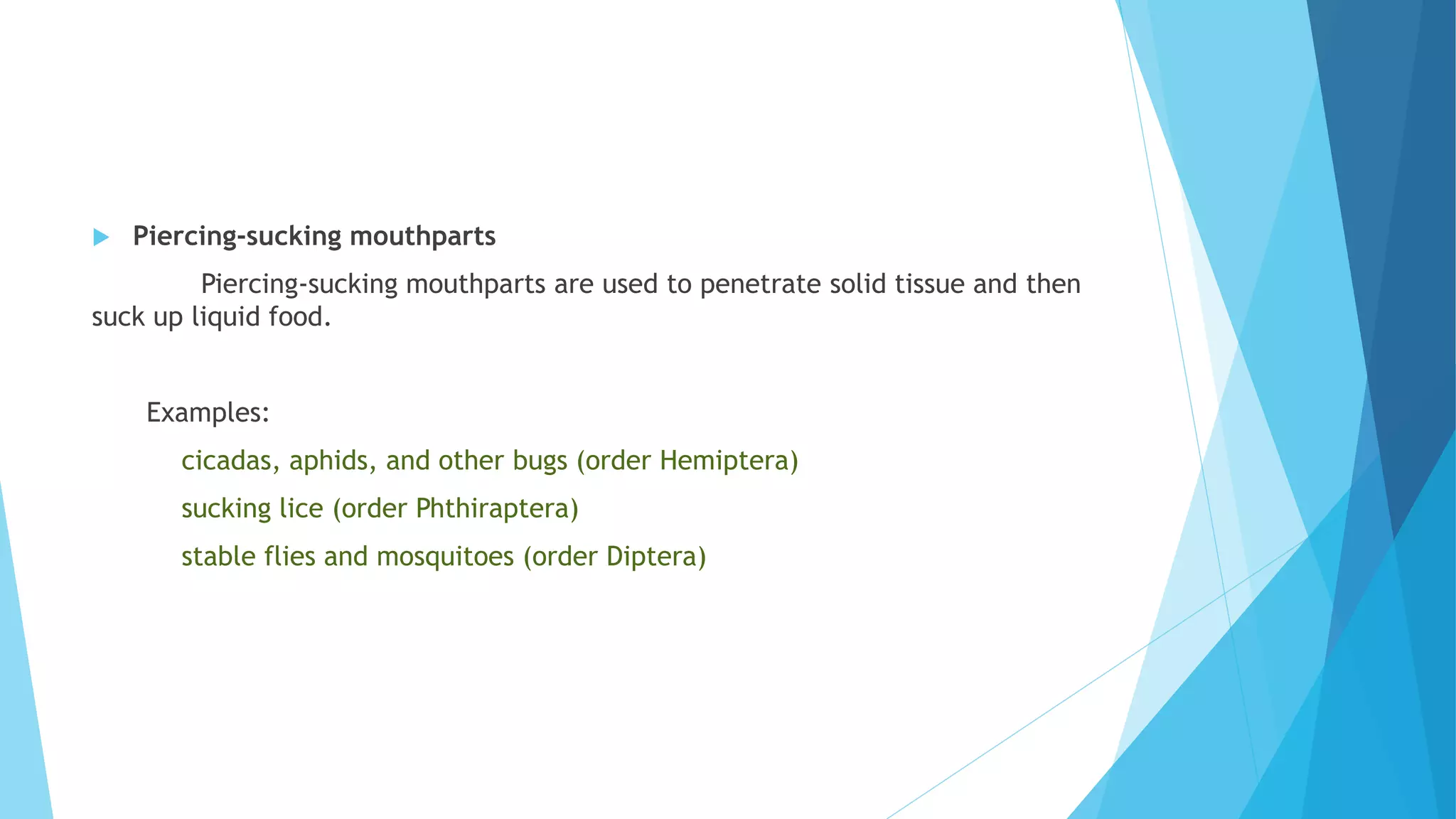INSECT MOUTH PARTS AND THEIR MODIFICATION.pptx