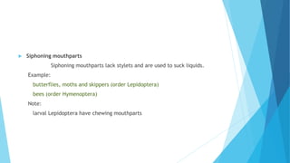 INSECT MOUTH PARTS AND THEIR MODIFICATION.pptx