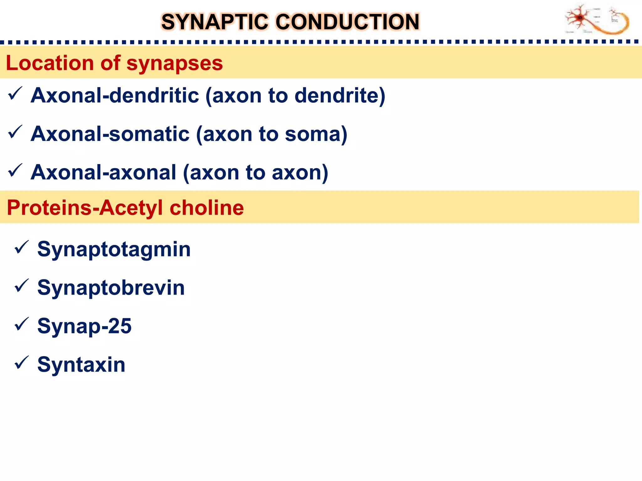 Insect nervious system and impulse transmission_S.Srinivasnaik_RAD21-25.ppt