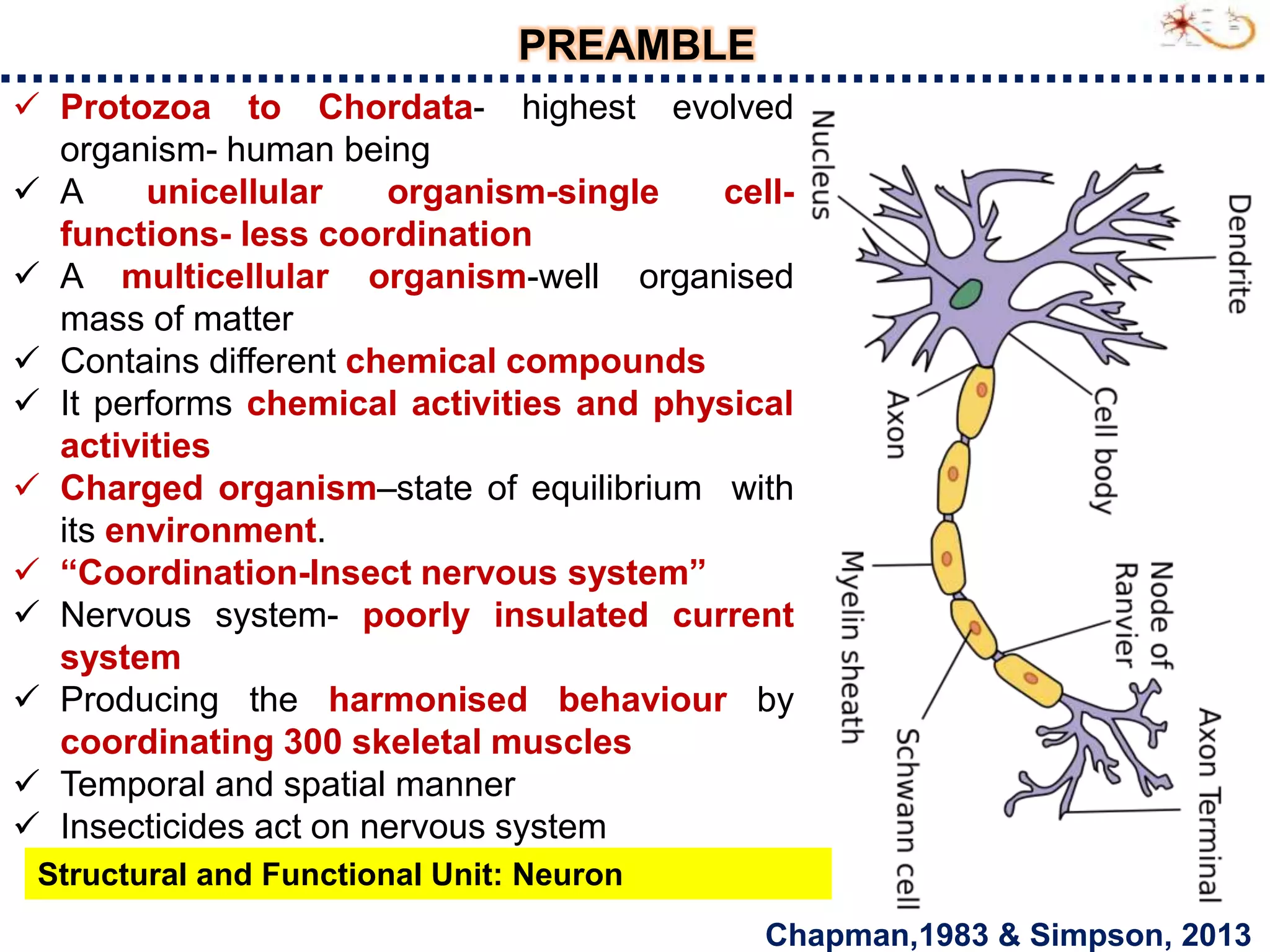 Insect nervious system and impulse transmission_S.Srinivasnaik_RAD21-25.ppt