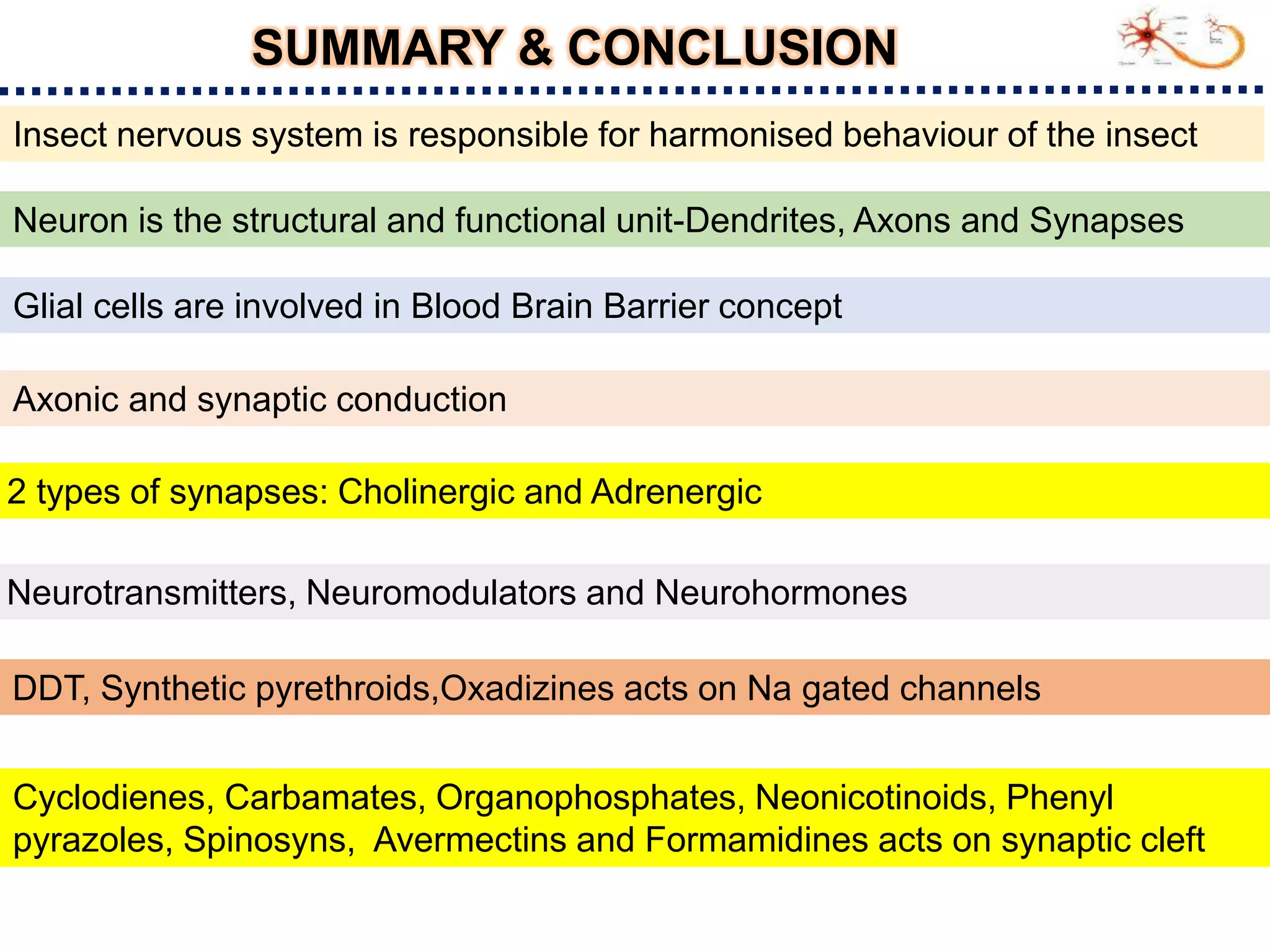 Insect nervious system and impulse transmission_S.Srinivasnaik_RAD21-25.ppt