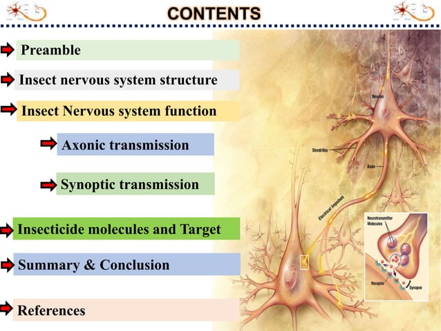 Insect nervious system and impulse transmission_S.Srinivasnaik_RAD21-25 ...