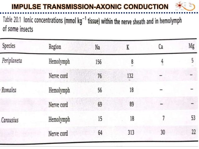 Insect nervious system and impulse transmission_S.Srinivasnaik_RAD21-25 ...
