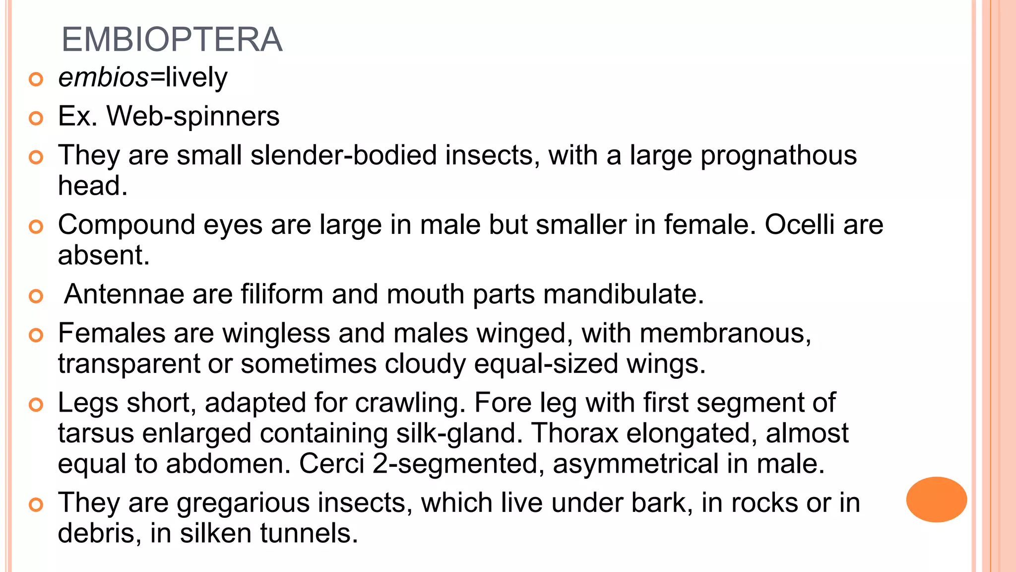 Insect order by kotresh | PPT