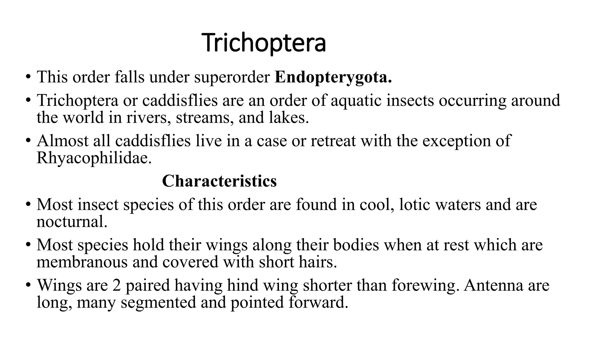 Insect order resham sir | PPT