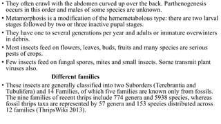 Insect order resham sir | PPT