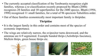 Insect order resham sir | PPT