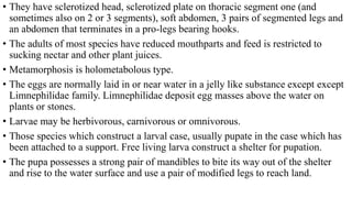 Insect order resham sir | PPT