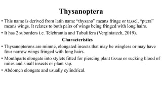 Insect order resham sir | PPT