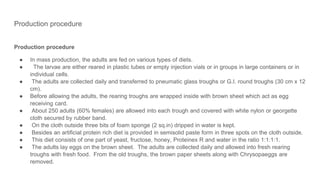 Insect orders bearing predators and parasitoids used in pest control ...