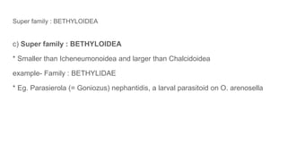 Insect orders bearing predators and parasitoids used in pest control ...