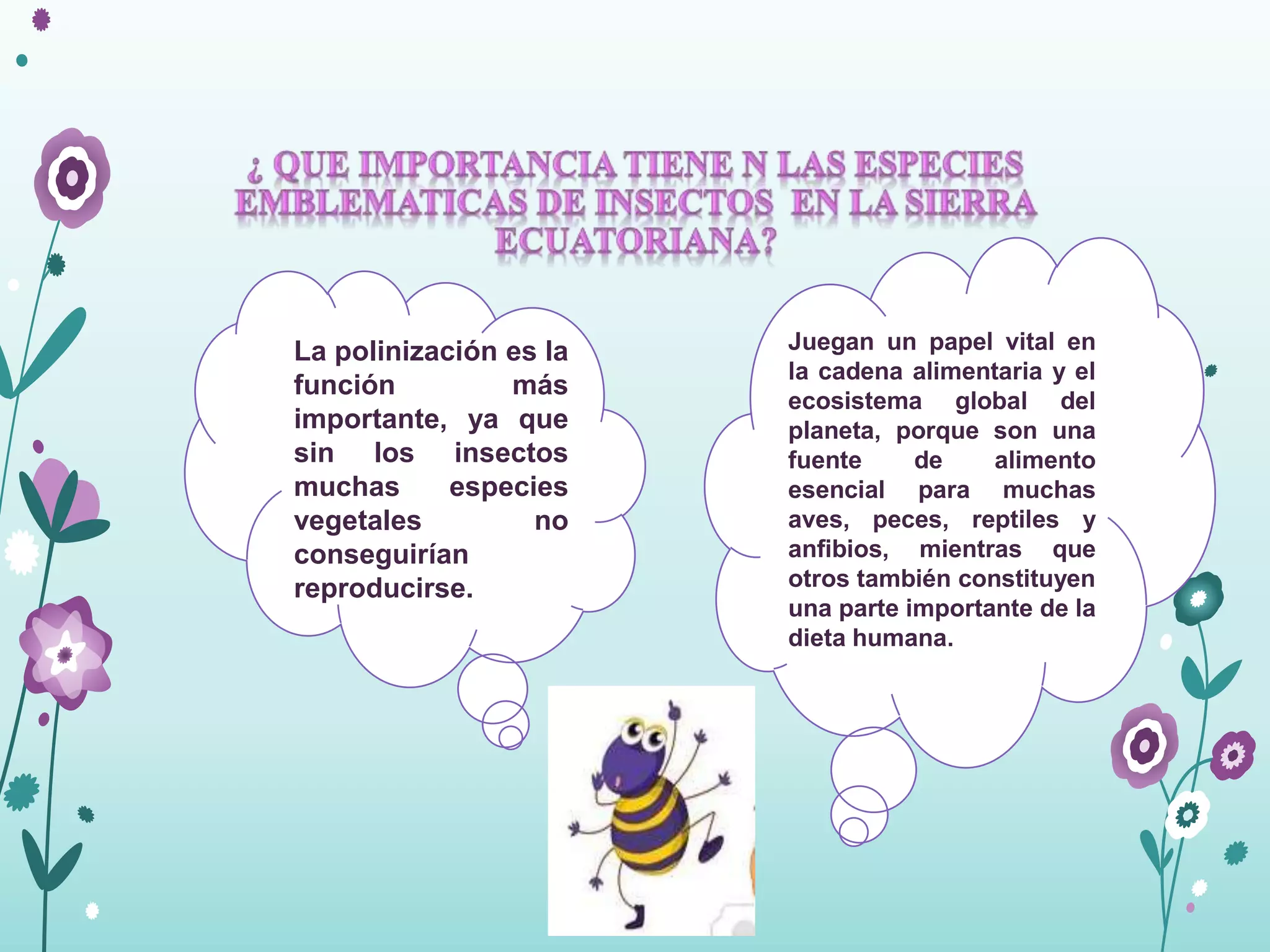 Insectos de-la-sierra-ecuatoriana | PPTX
