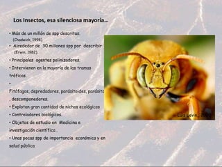 Introducción a los Insectos de Caracas. José Piñango. | PPTX