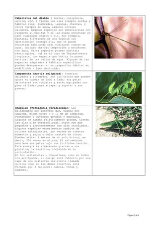 Insectos de mexico | DOC
