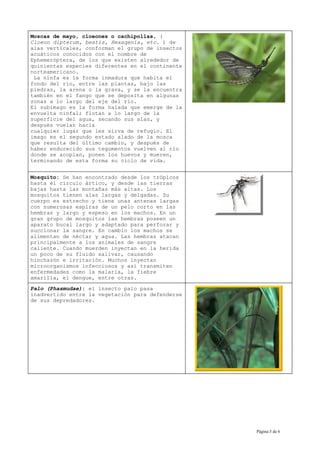 Insectos de mexico | DOC