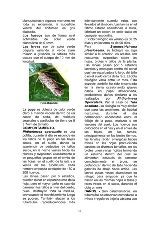 Insectos plaga del cultivo de la papa | PDF
