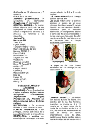 Insectos plaga del cultivo de la papa | PDF