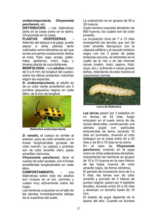 Insectos plaga del cultivo de la papa | PDF