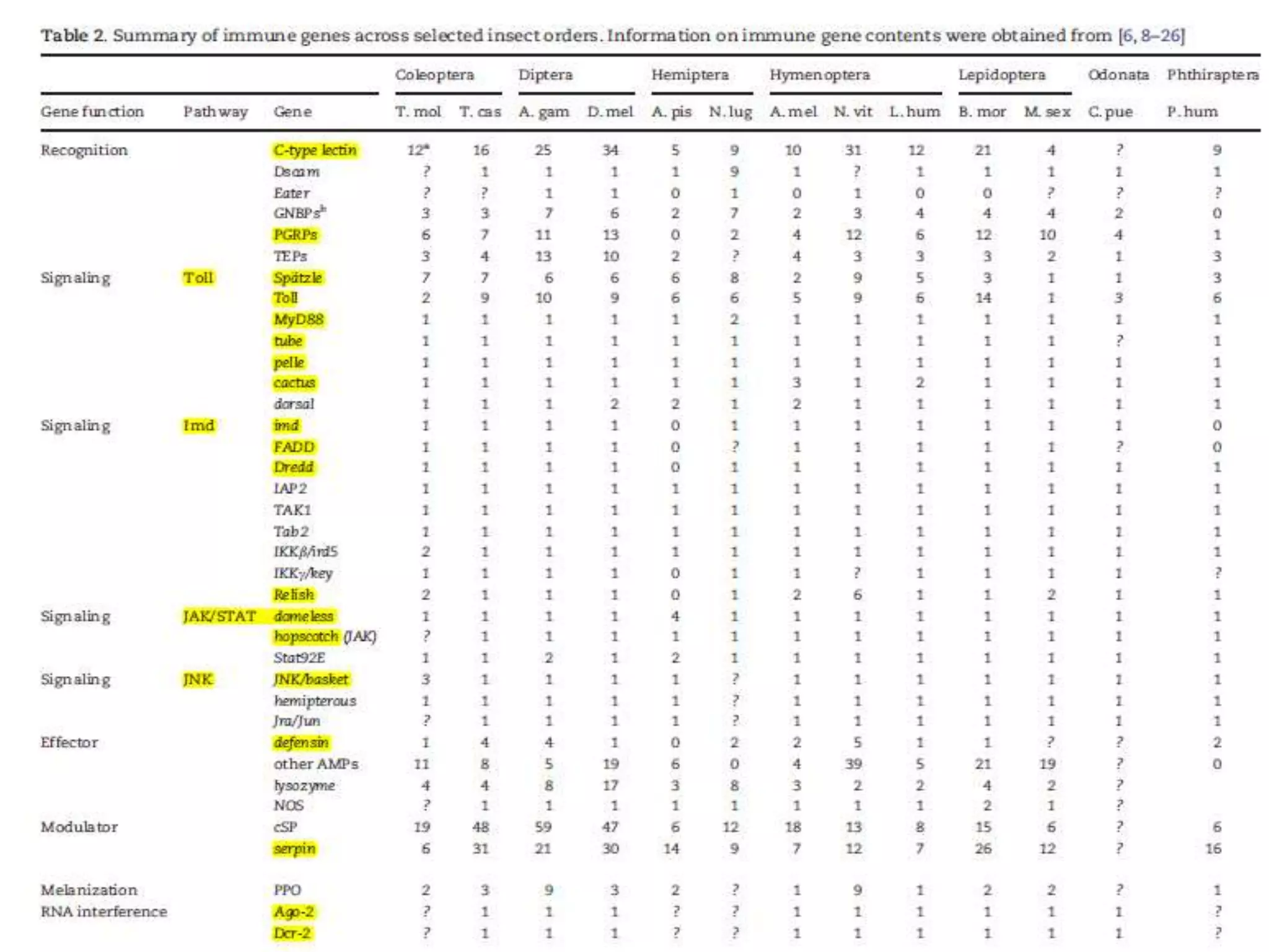 Molecular mechanism of insect immunity | PPTX