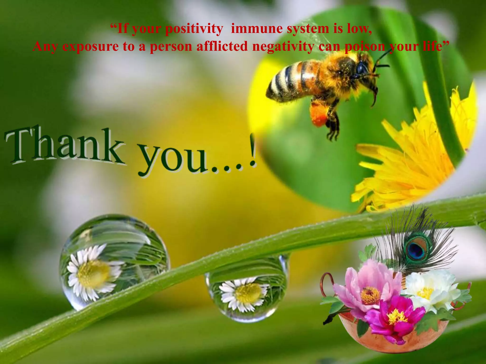 Molecular mechanism of insect immunity | PPTX