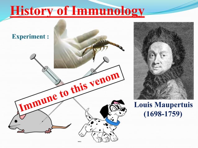 Molecular mechanism of insect immunity | PPTX