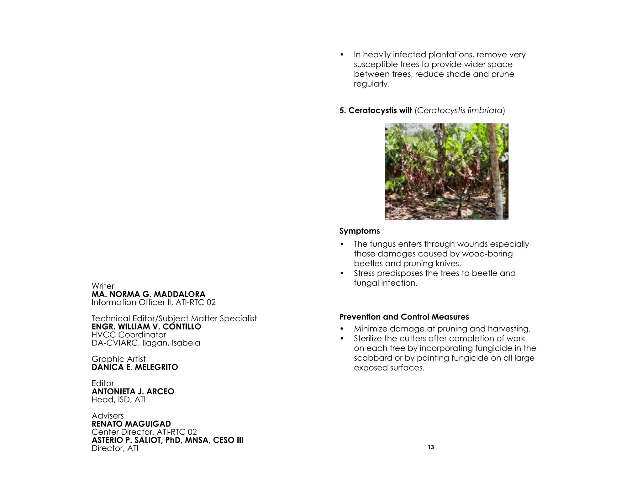 CACAO Insect, Pest, Diseases, and Management | PDF