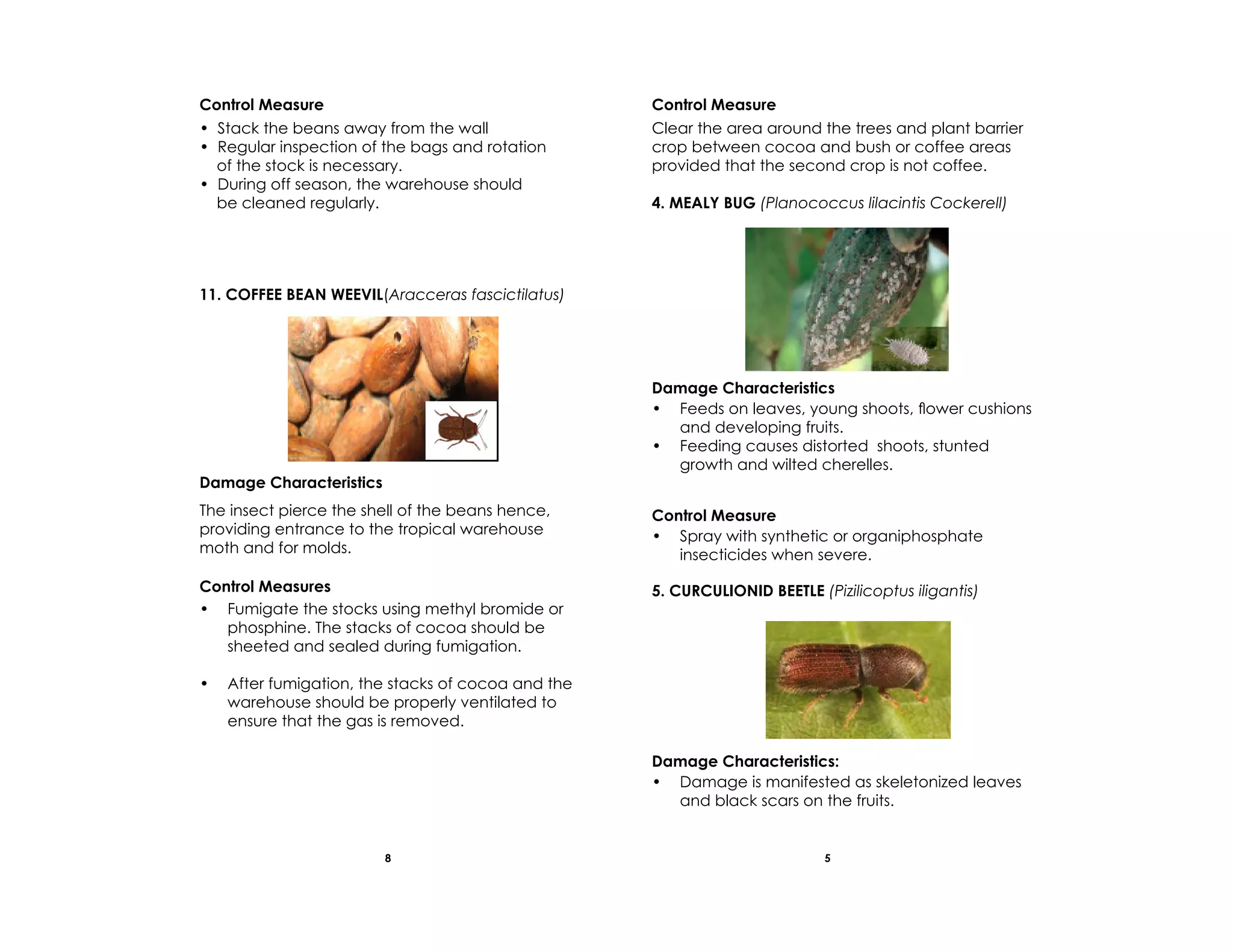 CACAO Insect, Pest, Diseases, and Management | PDF