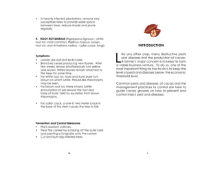 CACAO Insect, Pest, Diseases, and Management | PDF