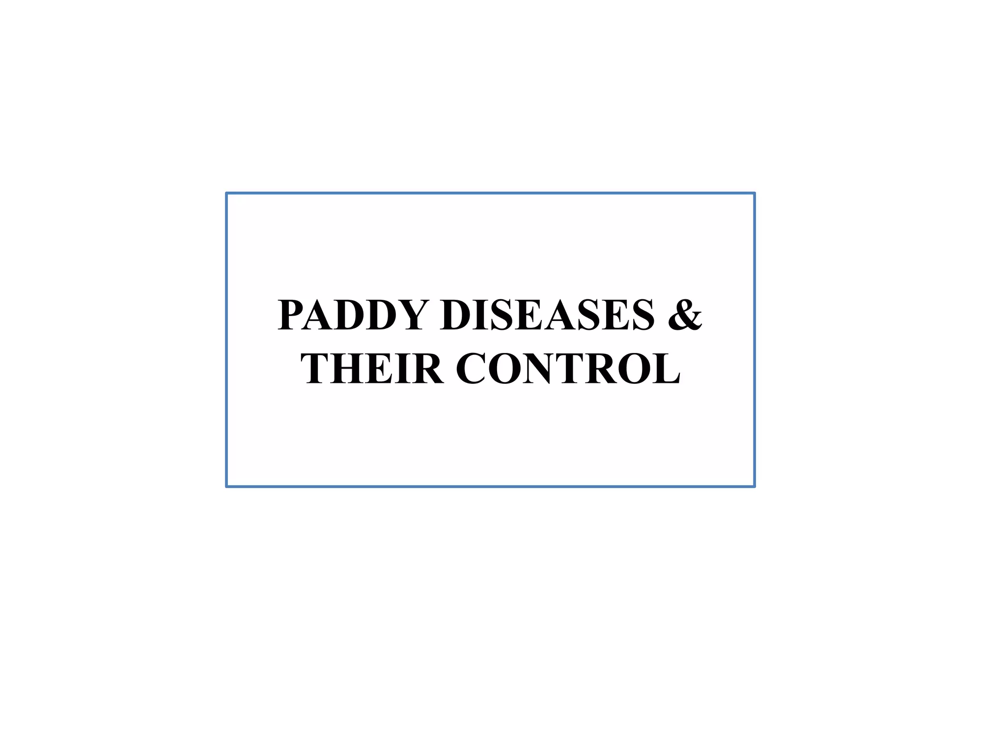 Insect pest and diseases of paddy and its management.pptx