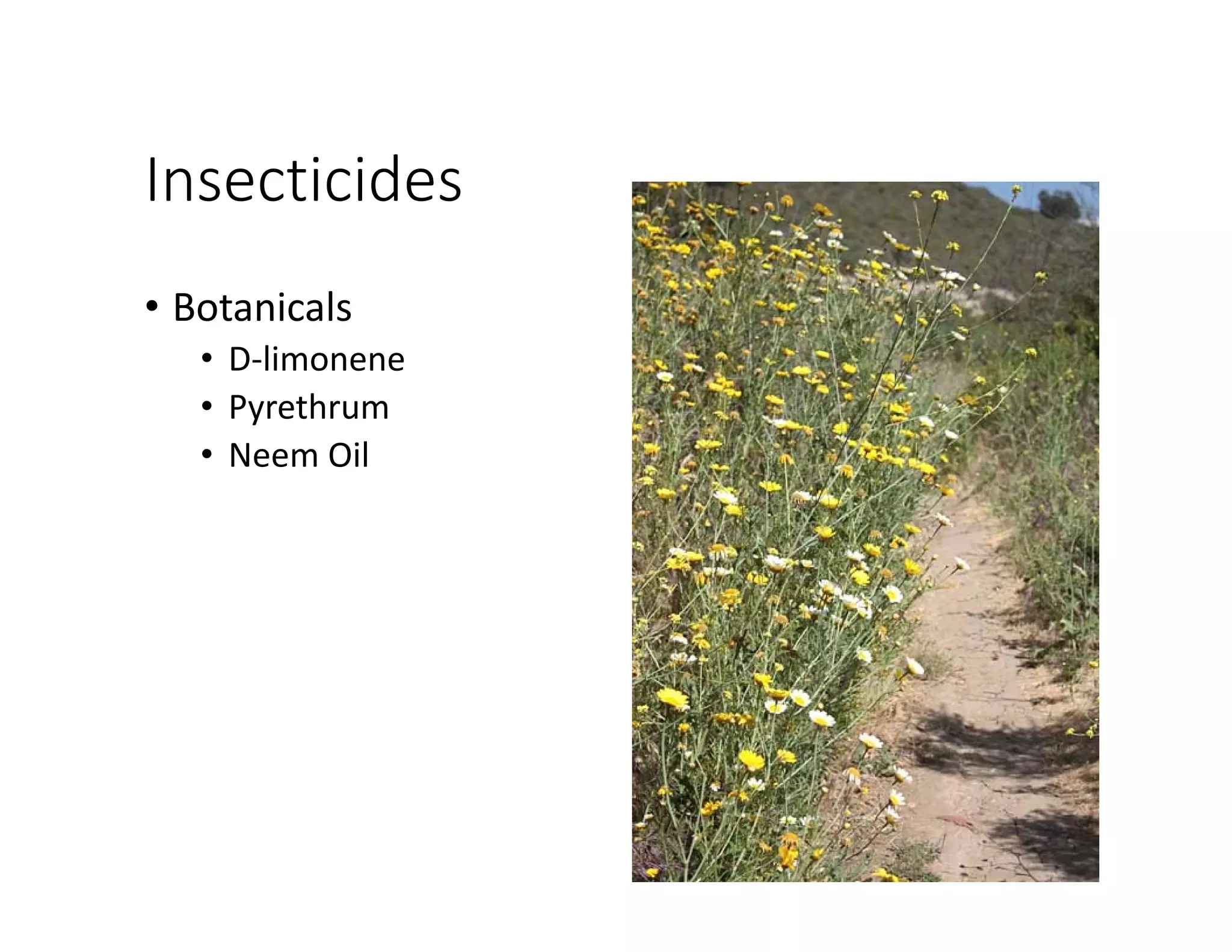 Insect Pest Control Methods | PDF