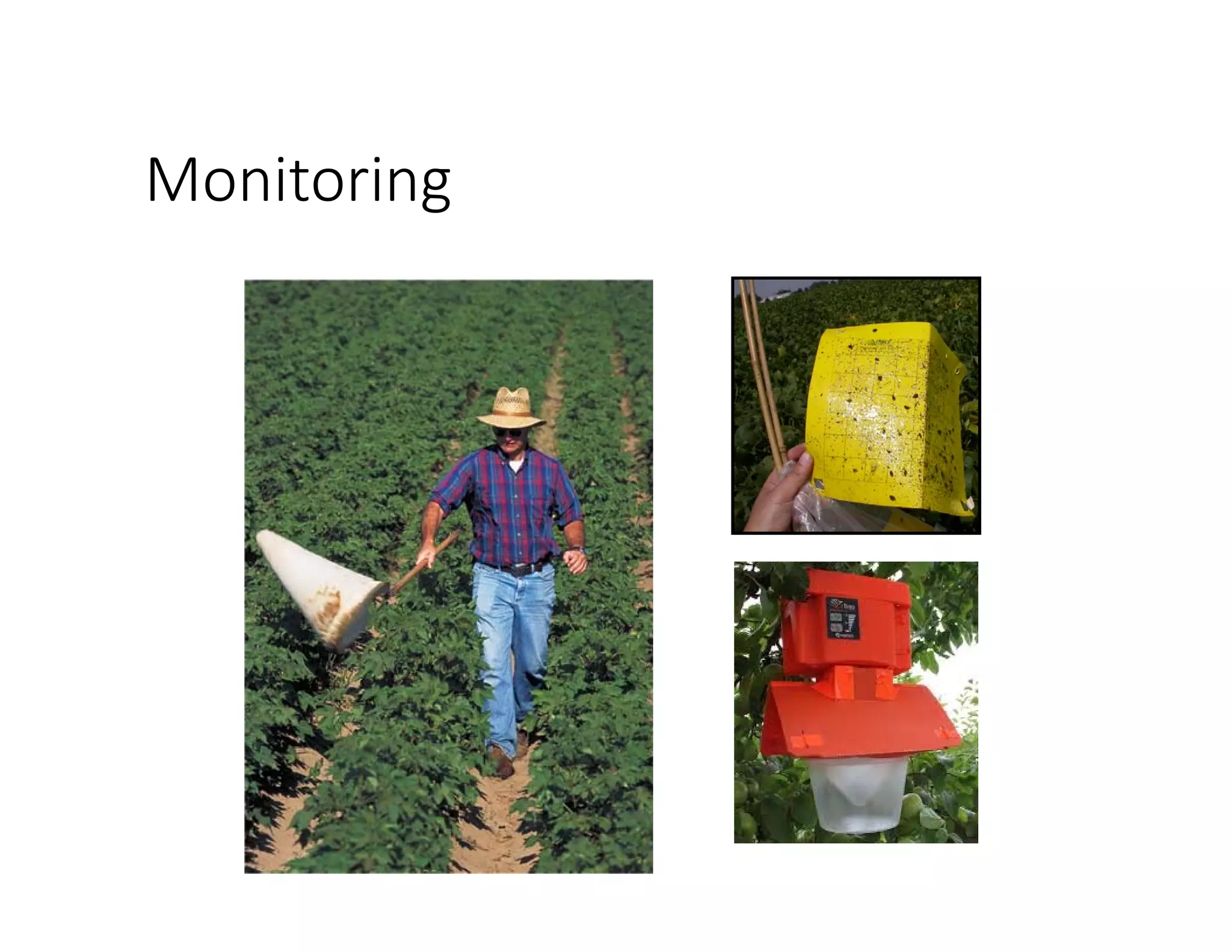 Insect Pest Control Methods | PDF