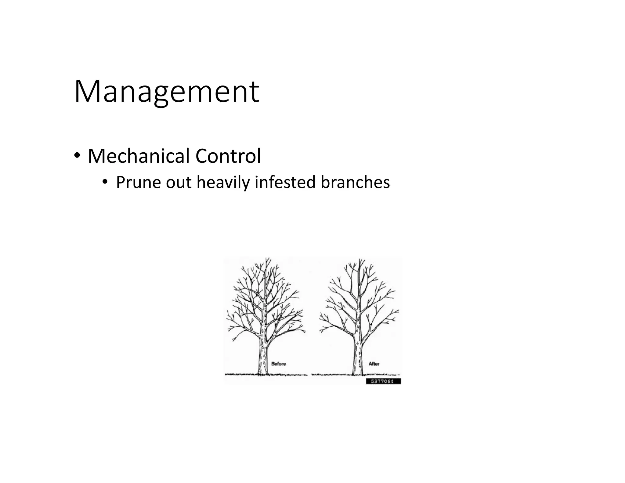 Insect Pest Control Methods | PDF