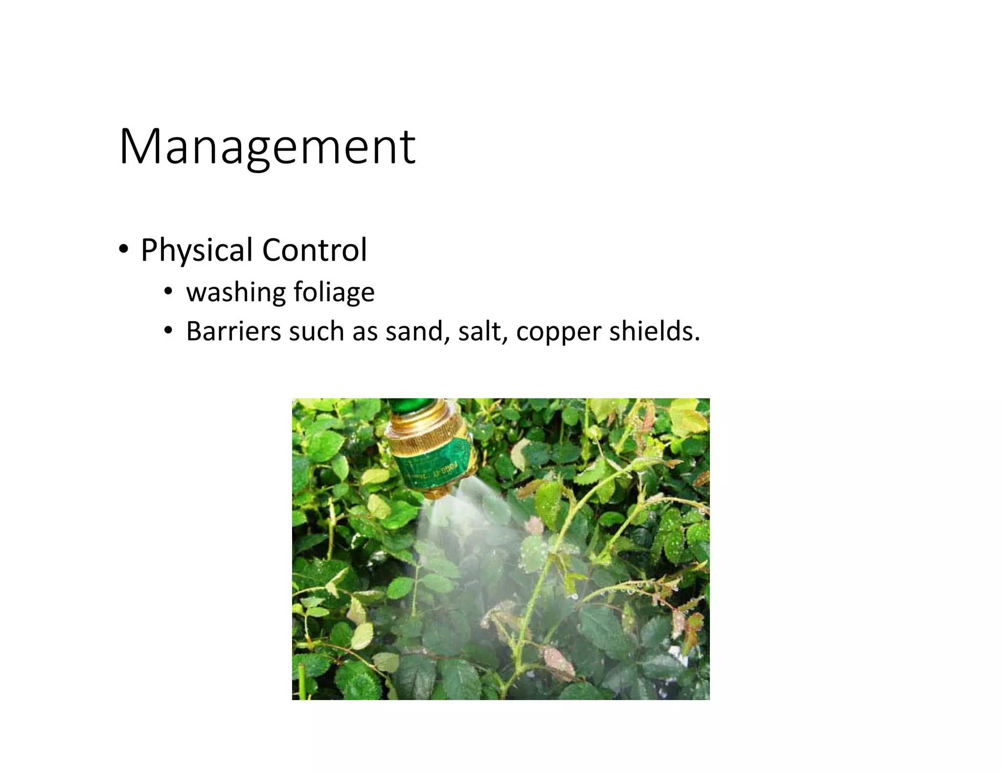Insect Pest Control Methods | PDF