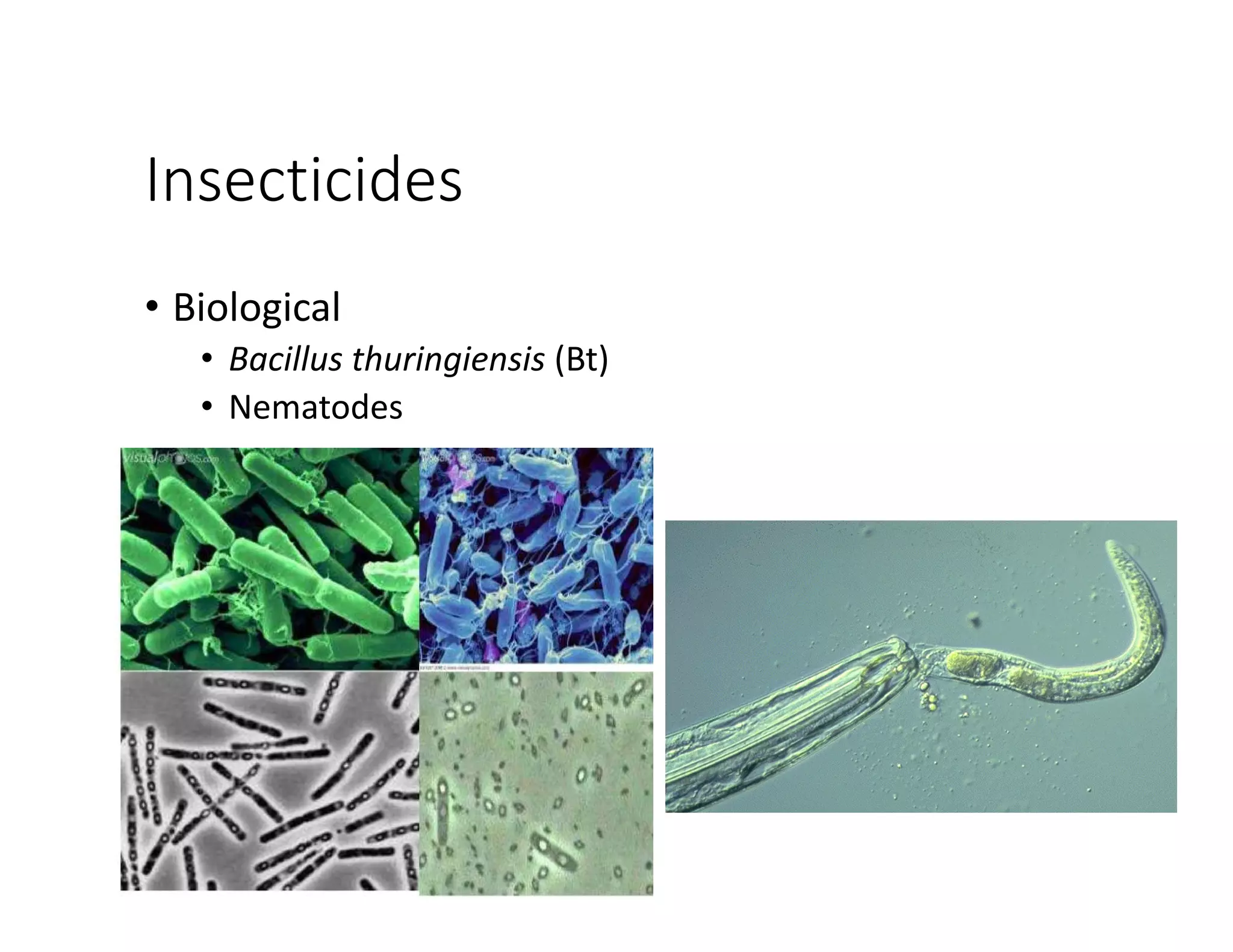 Insect Pest Control Methods | PDF