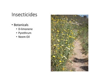 Insect Pest Control Methods | PDF