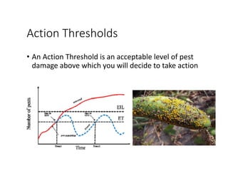 Insect Pest Control Methods | PDF