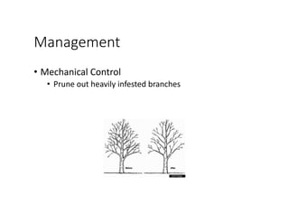 Insect Pest Control Methods | PDF