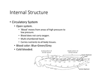 Insect Pest ID and Life Cycle | PDF