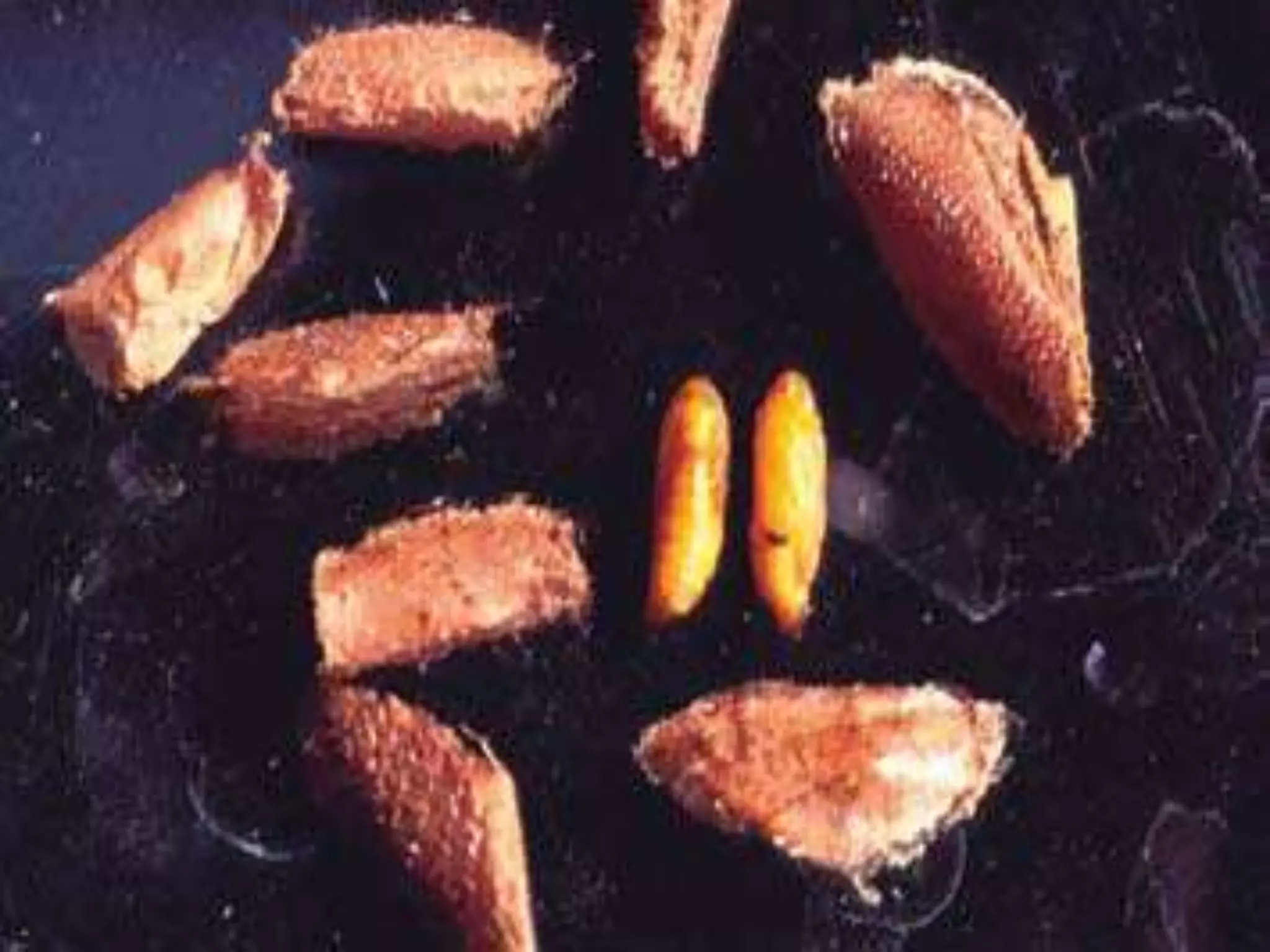 Insect pest of brinjal | PPTX