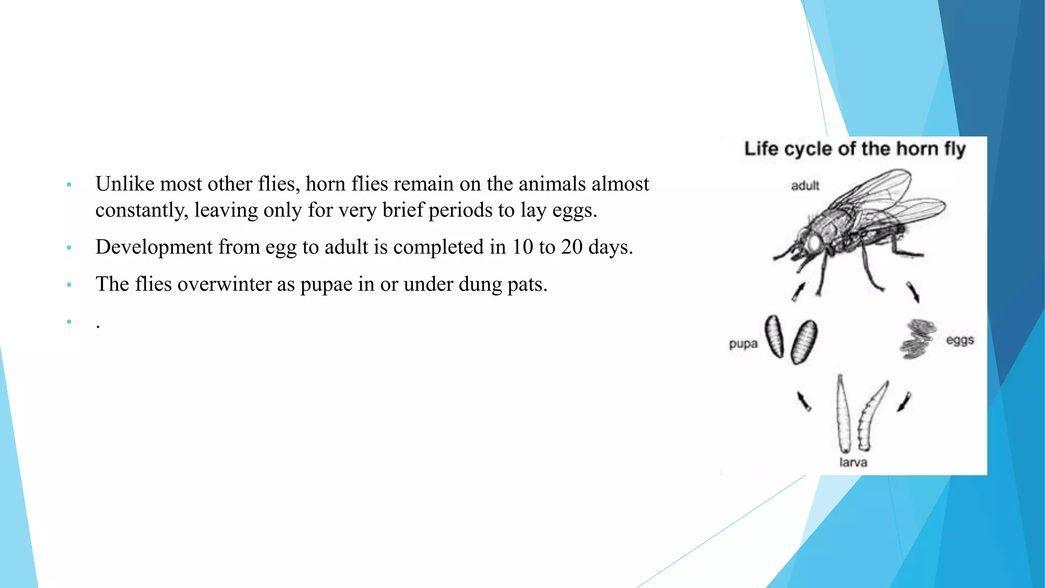 Insect pest of cattle and their management | PPTX